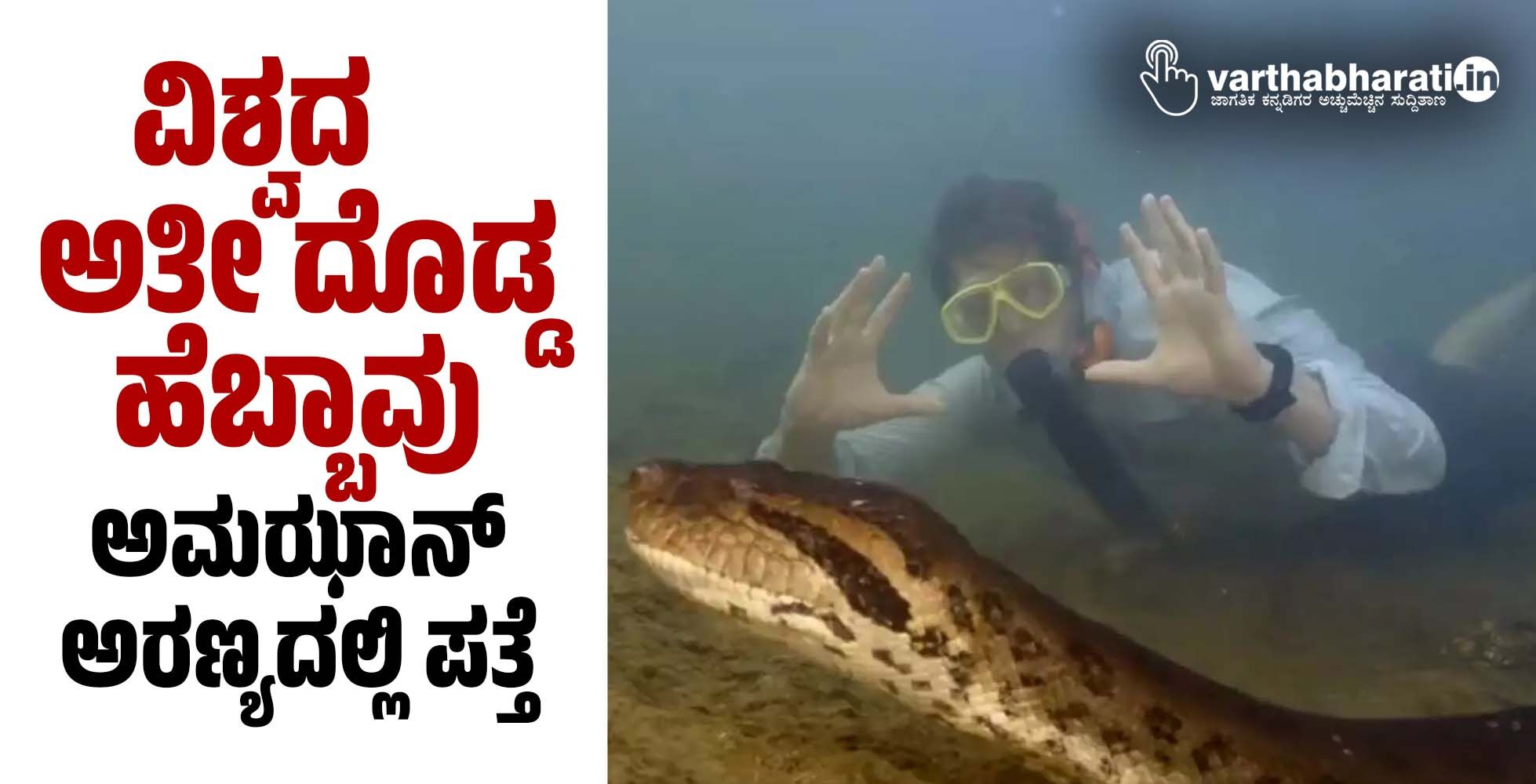 ವಿಶ್ವದ ಅತೀ ದೊಡ್ಡ ಹೆಬ್ಬಾವು ಅಮೆಝಾನ್ ಅರಣ್ಯದಲ್ಲಿ ಪತ್ತೆ | The world's ...